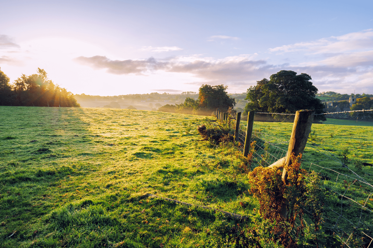 Countryside Alliance Ireland