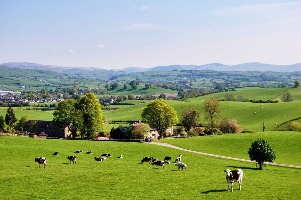 Countryside Alliance | The Voice of the Countryside